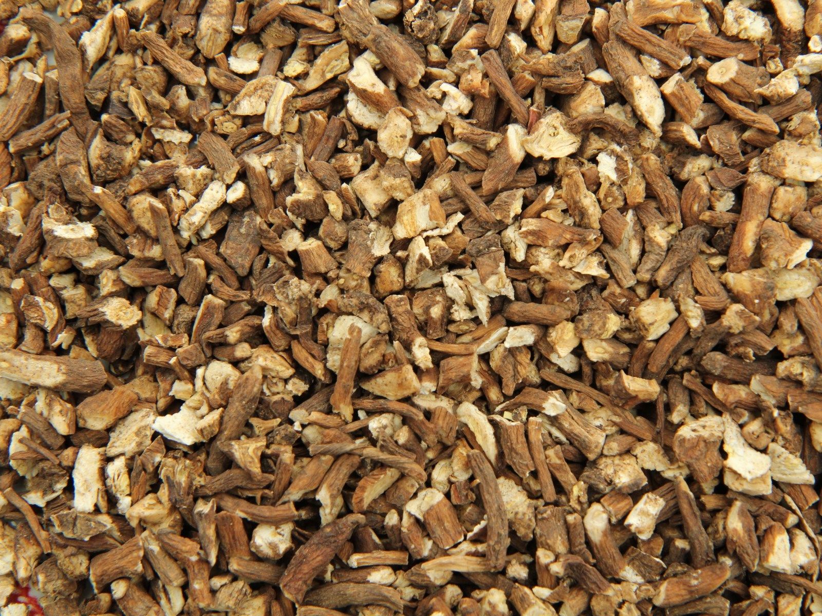 Paardenbloem wortel | 250 g | C3-8