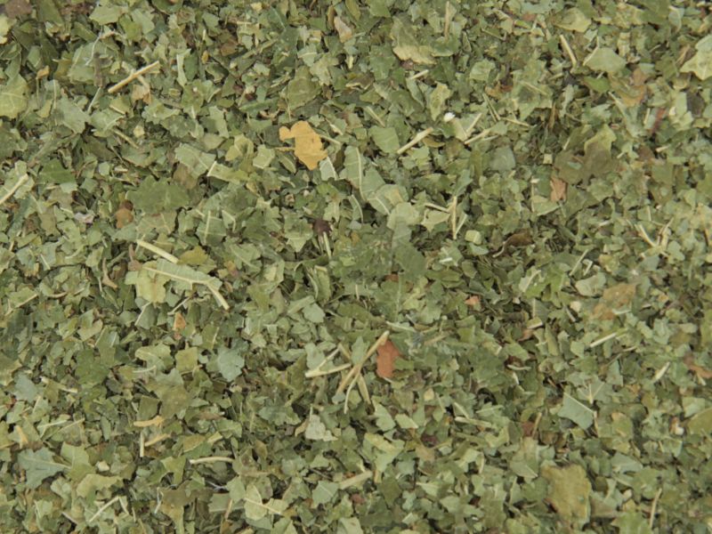 Hazelnut leaves (best before 12-2026) | 250 g | F2-5