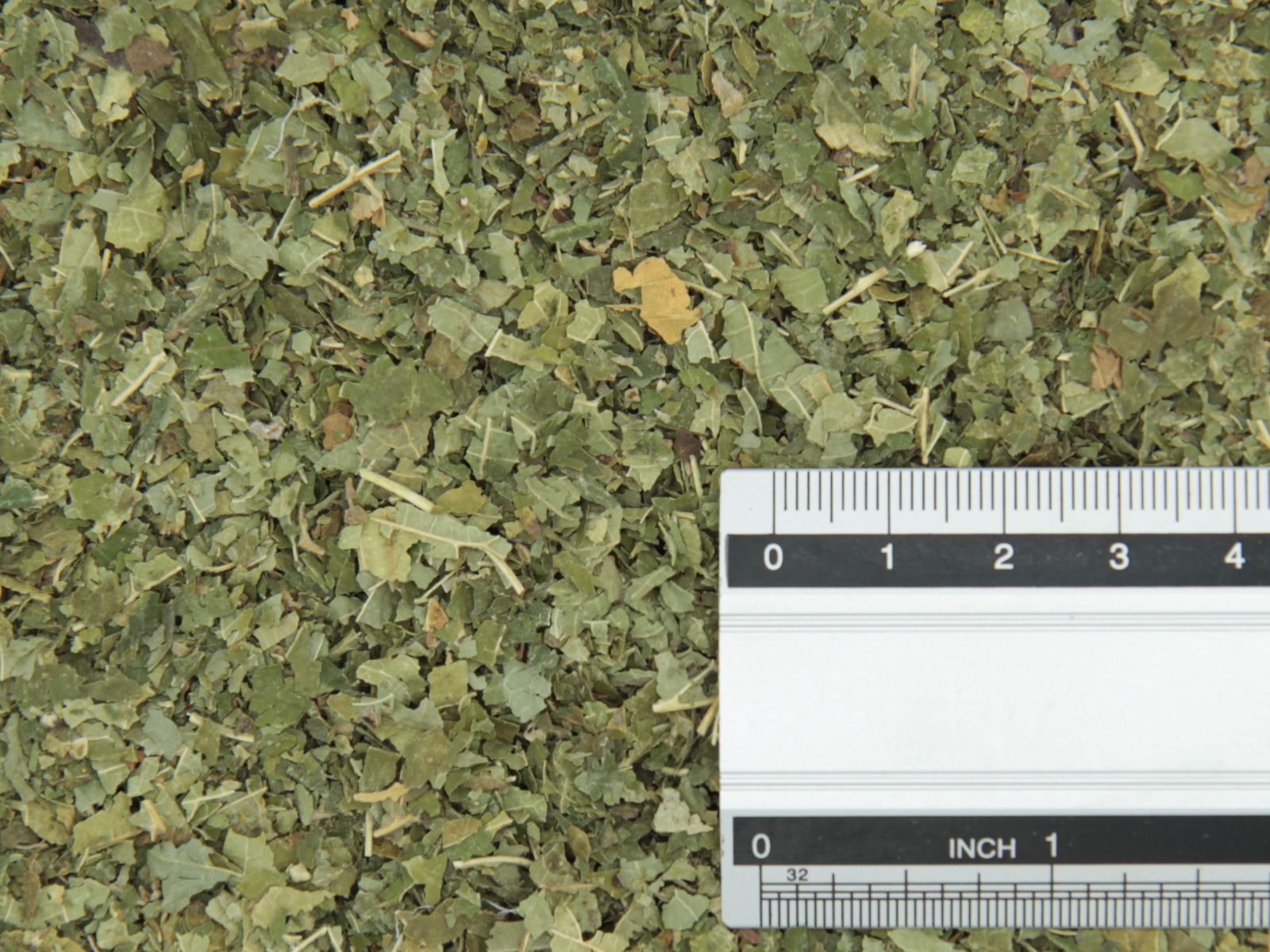 Hazelnut leaves (best before 12-2026) | 250 g | F2-5